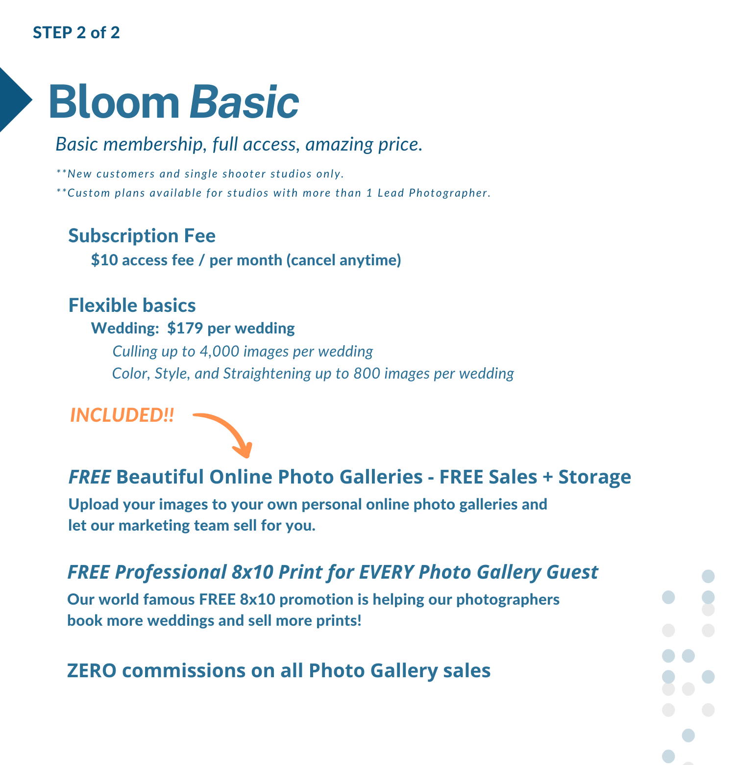 Bloom Basic – ShootDotEdit