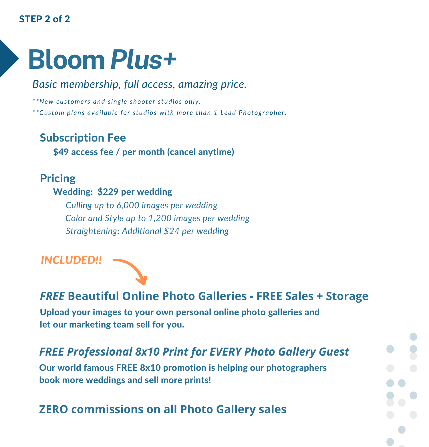 Bloom Plus+ – ShootDotEdit